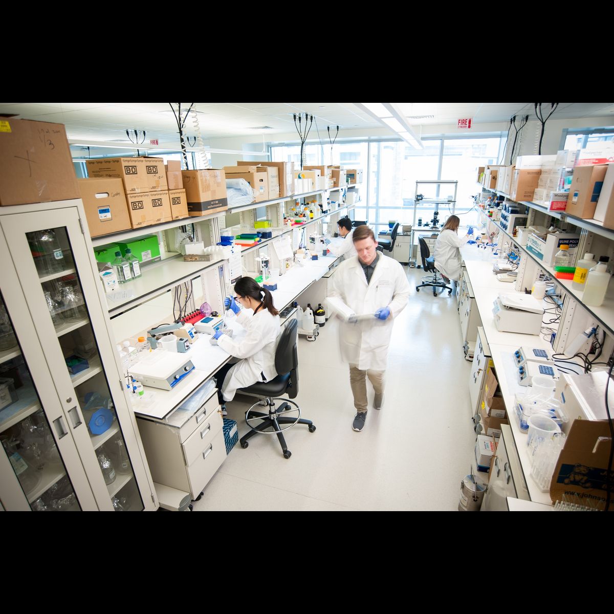 Advances in Anaplastic Thyroid Cancer Research and Treatment